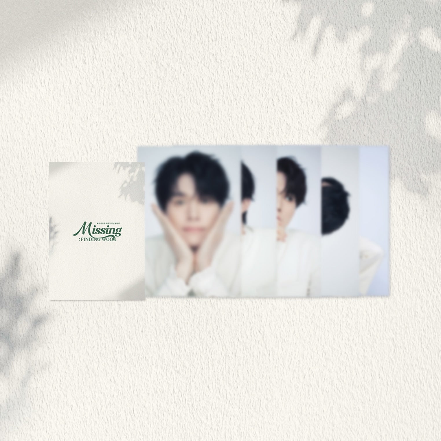LEE DONG WOOK Fanmeeting [Missing: Finding WOOK] Mini Poster (White ve ...