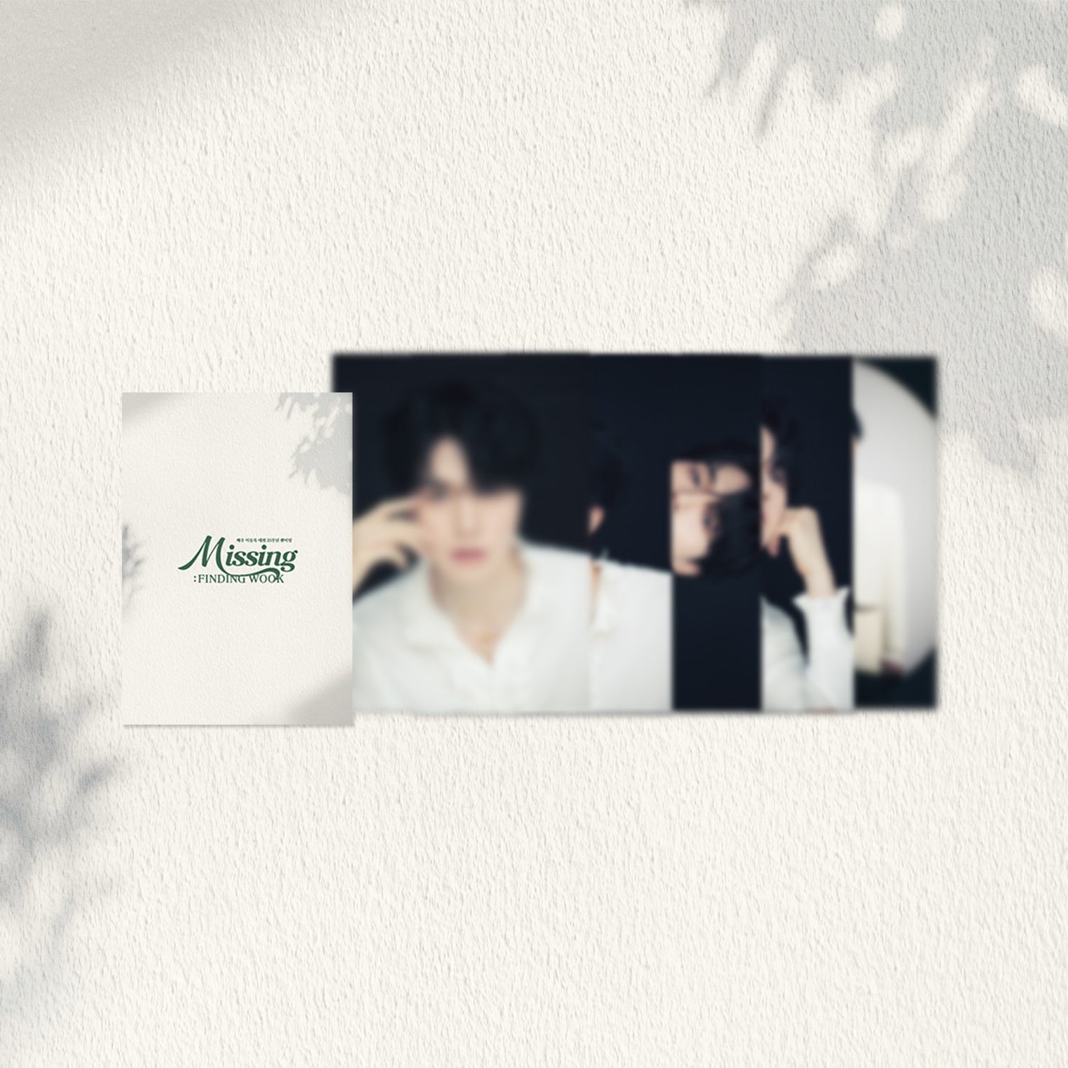 LEE DONG WOOK Fanmeeting [Missing: Finding WOOK] Mini Poster (Black ve ...